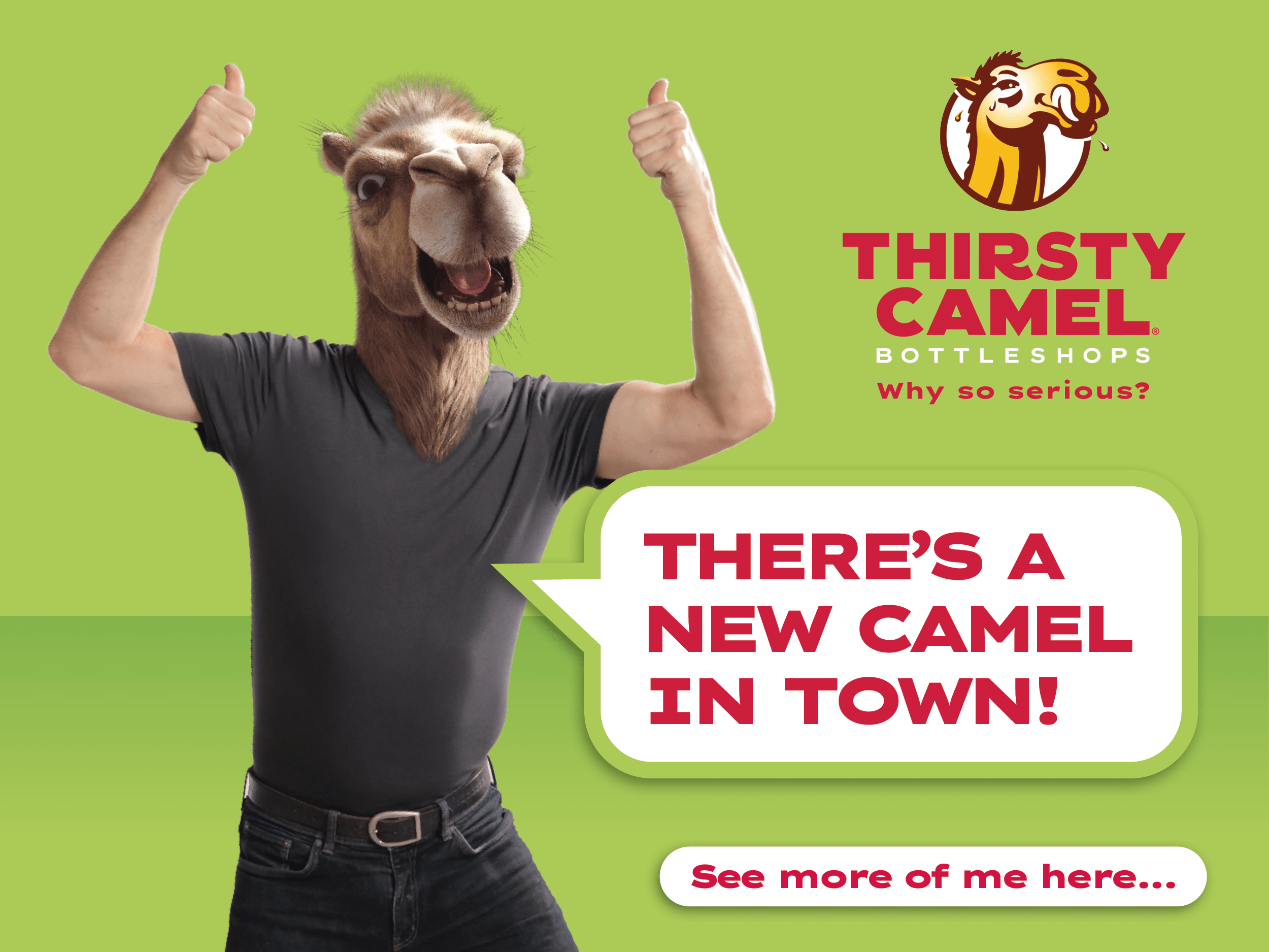 There’s a New Camel in Town! - The Shout